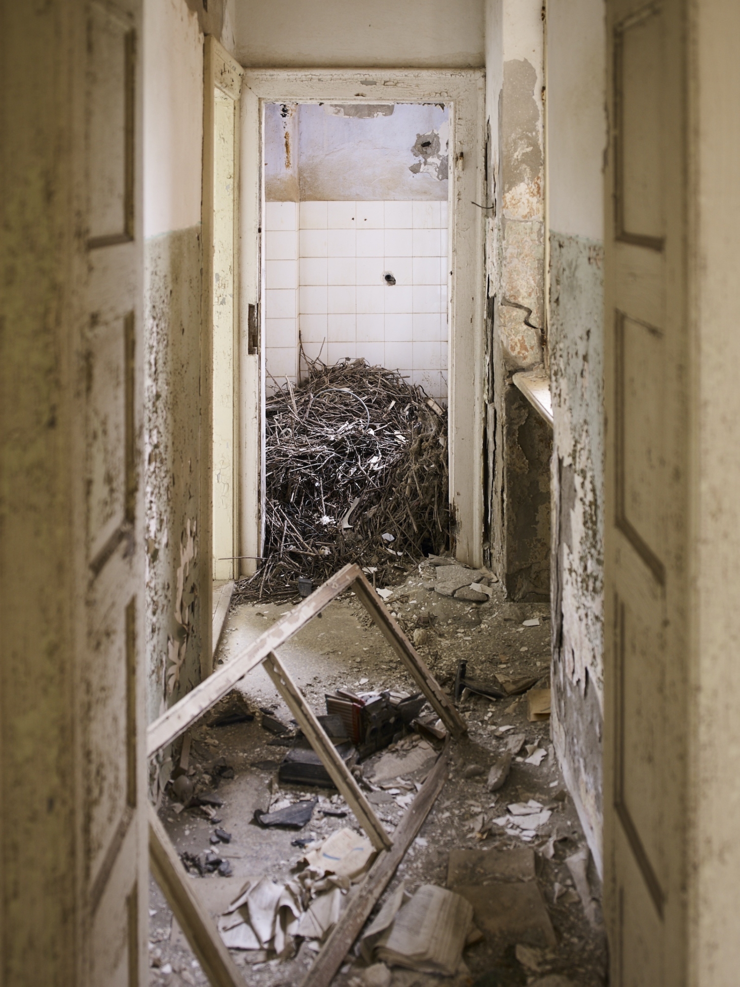 Pretty Decay // Fragments #1 – Lowlight.me